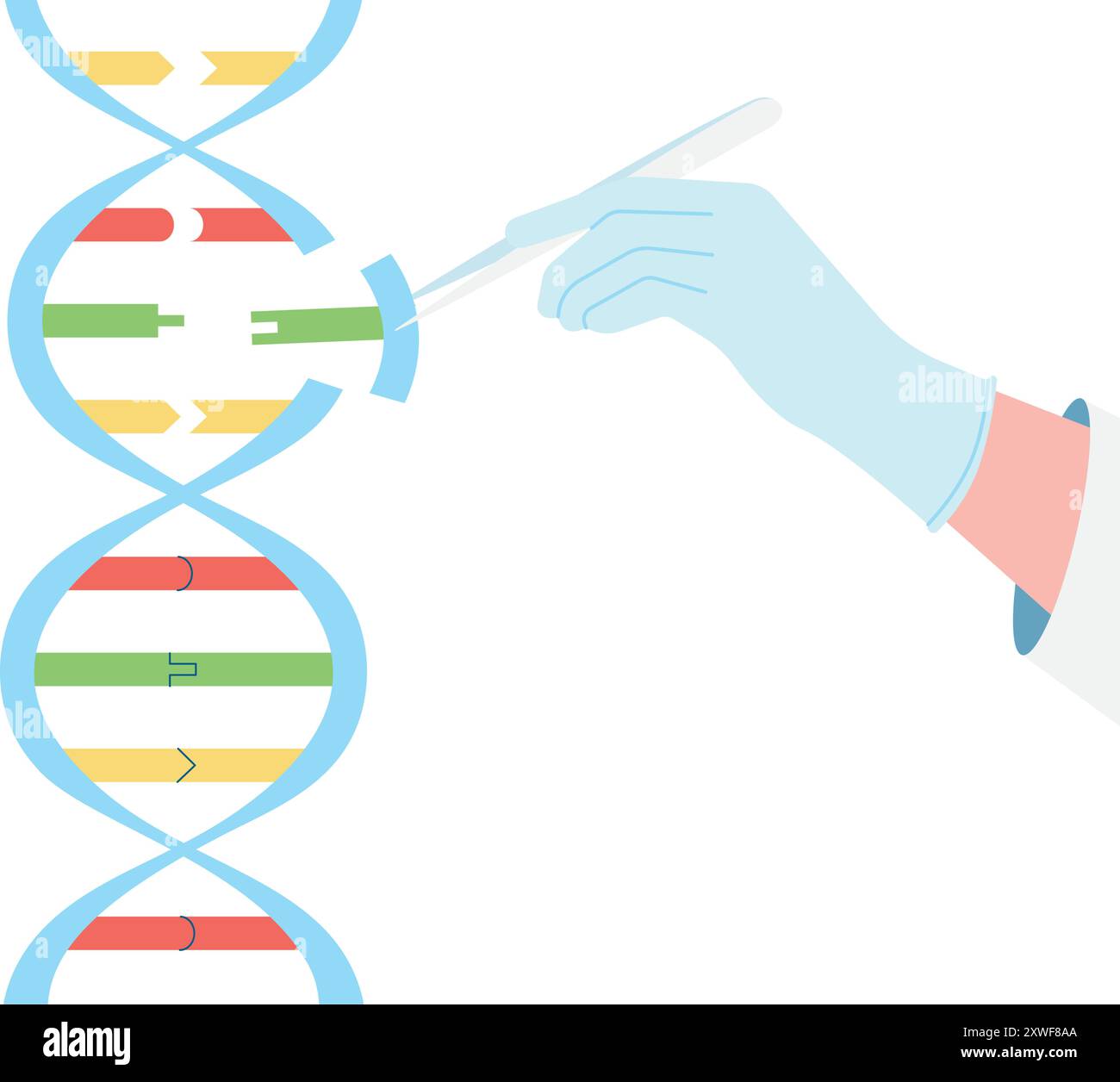 Human genome construction. Dna technology color icon Stock Vector Image ...