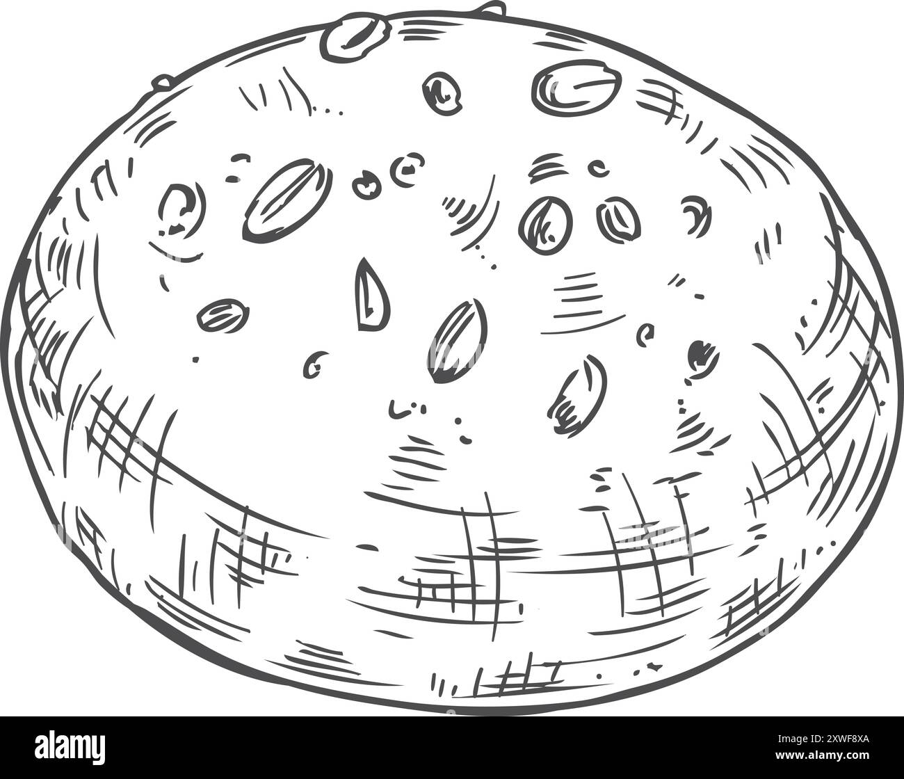 Sesame bun drawing. Fresh bakery food engraving Stock Vector Image ...