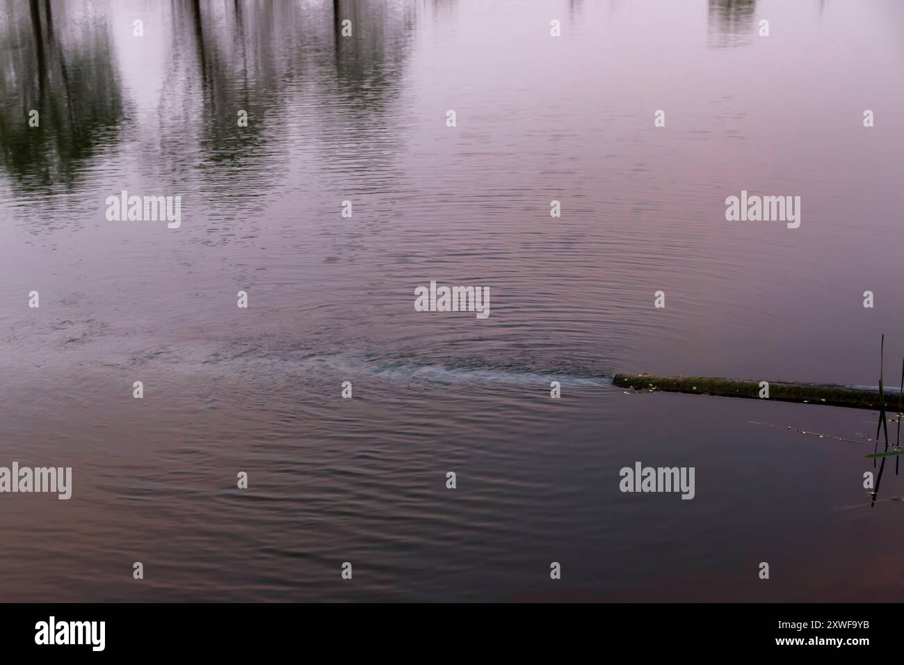 Contaminated water spills from the pipe into the river. Domestic waste ...