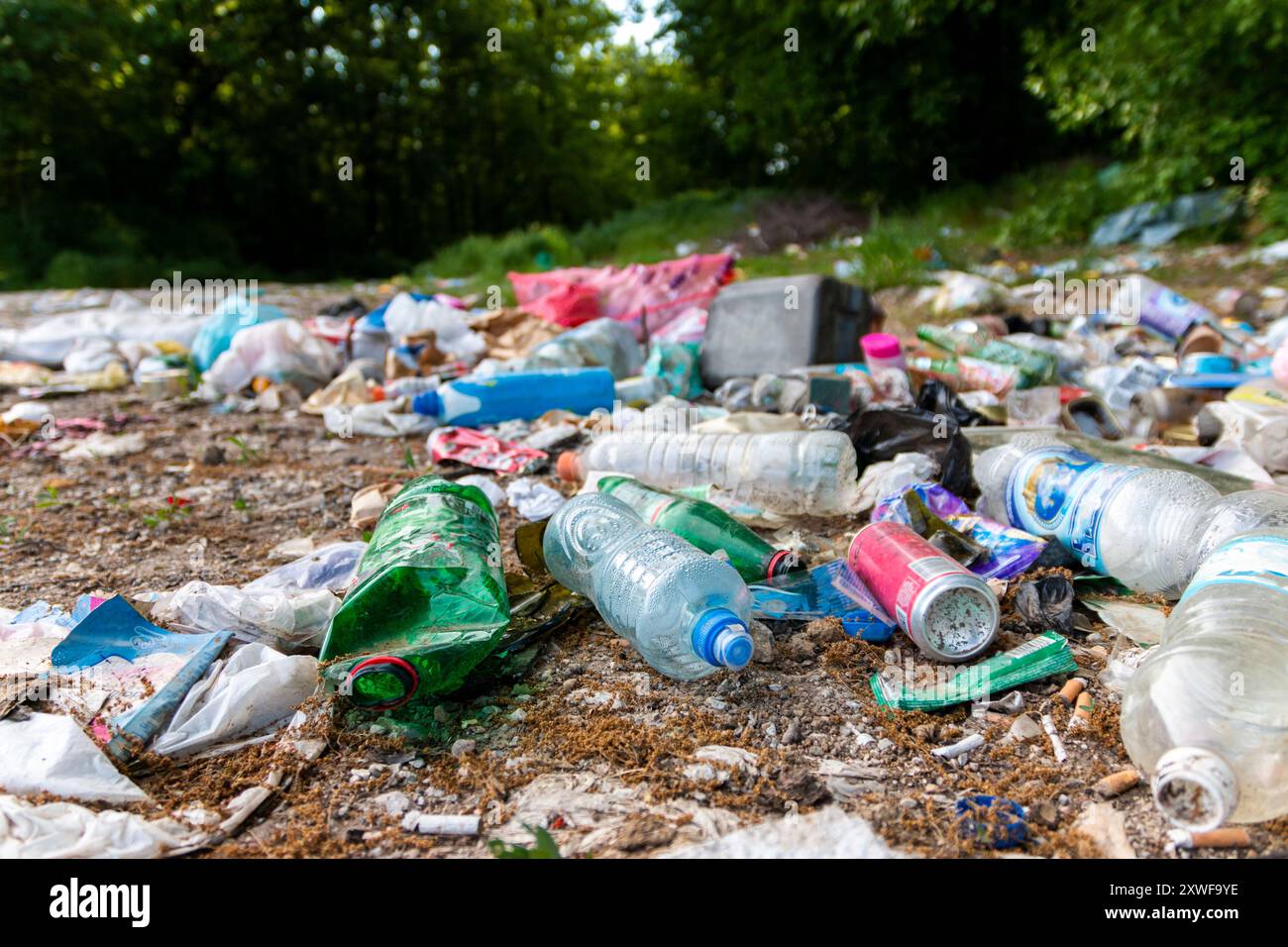 Piles of garbage in the forest, random dumping in nature. Stink heap ...