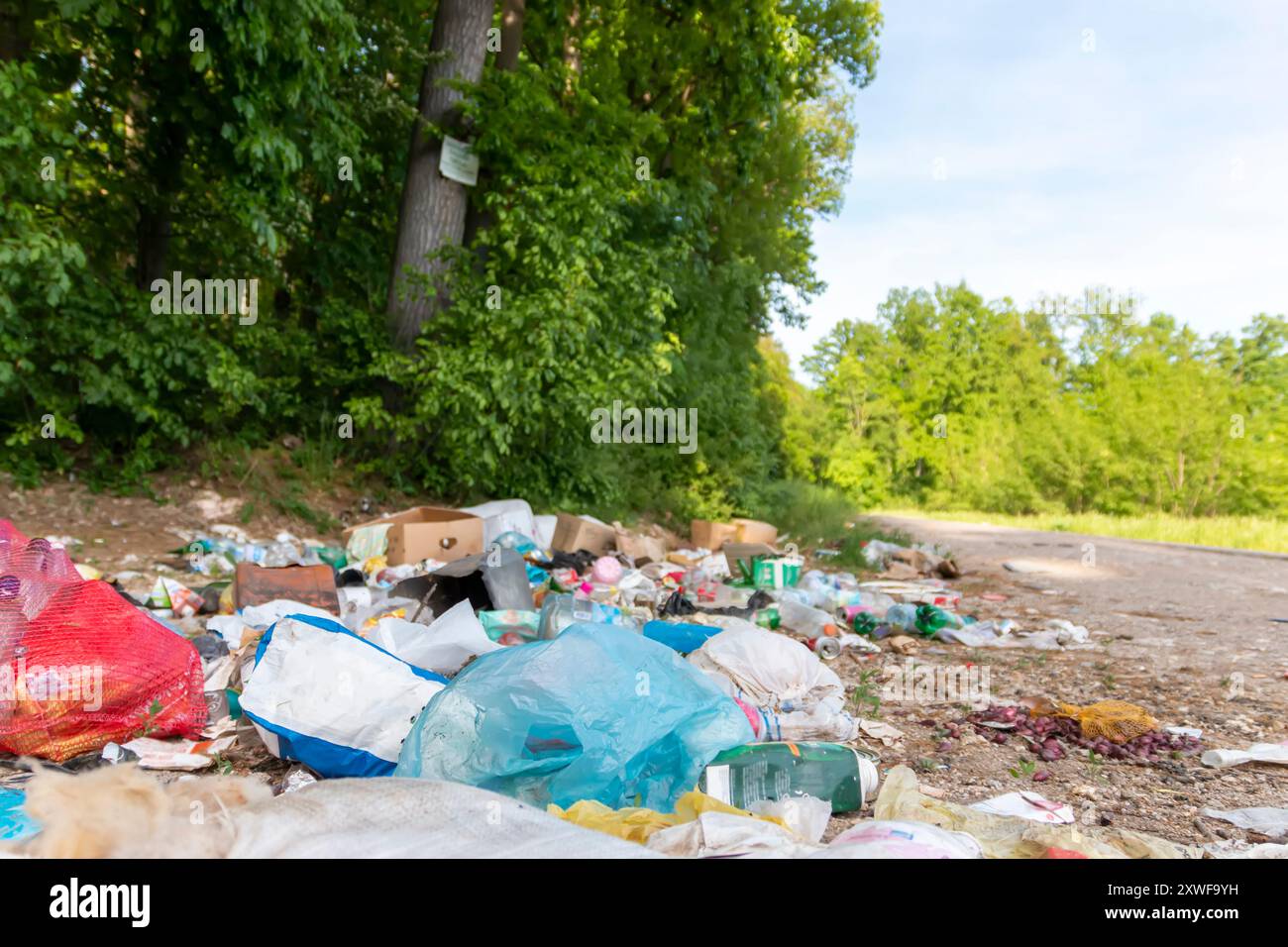Piles of garbage in the forest, random dumping in nature. Stink heap ...