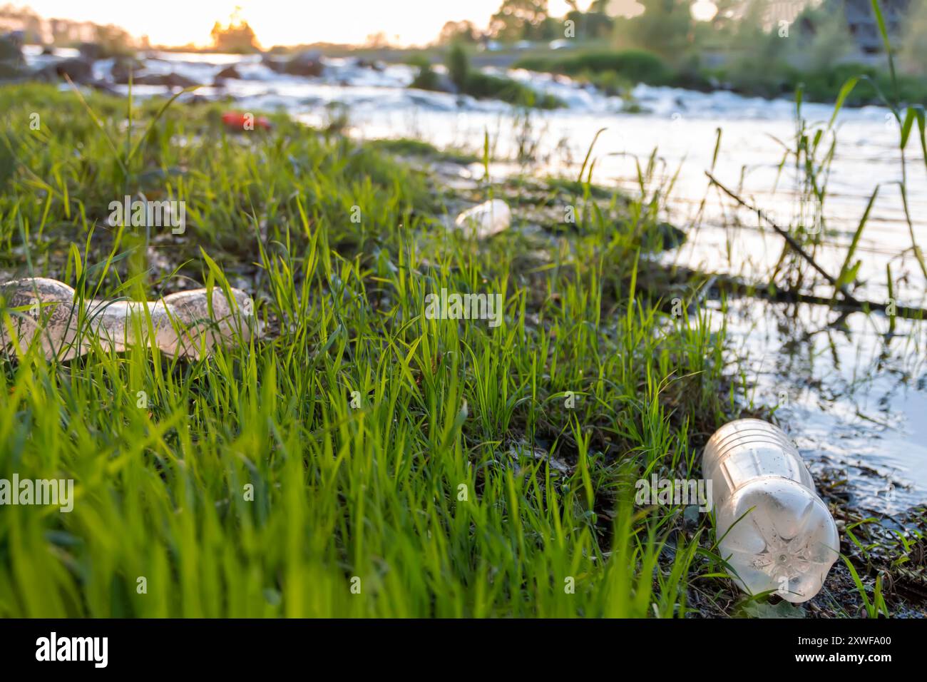 Plastic bottles, garbage in the polluted green grass on the river bank ...