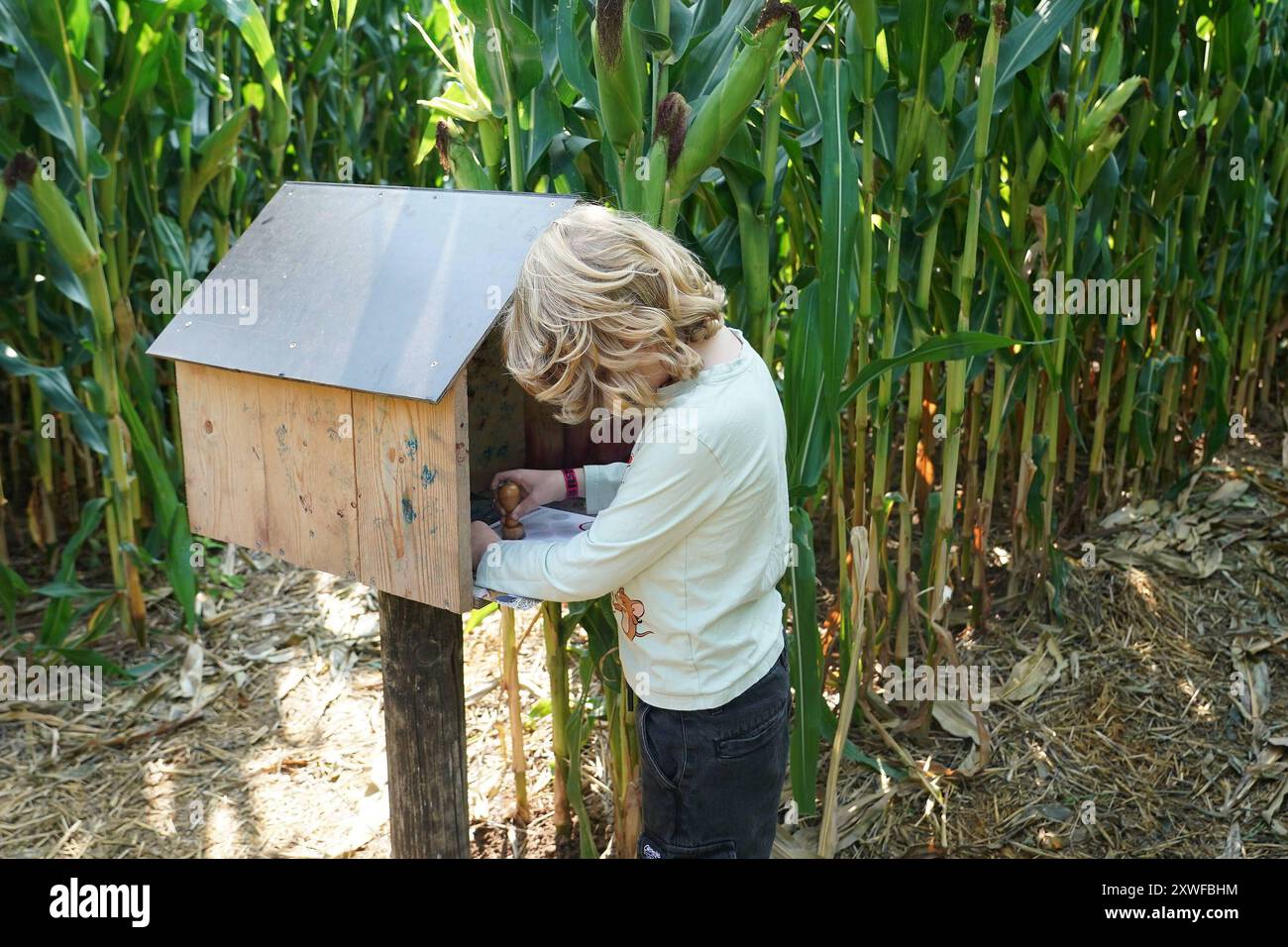 Stempelstation im großen Maislabyrinth beim Bauer Lipp, das dieses Jahr ...