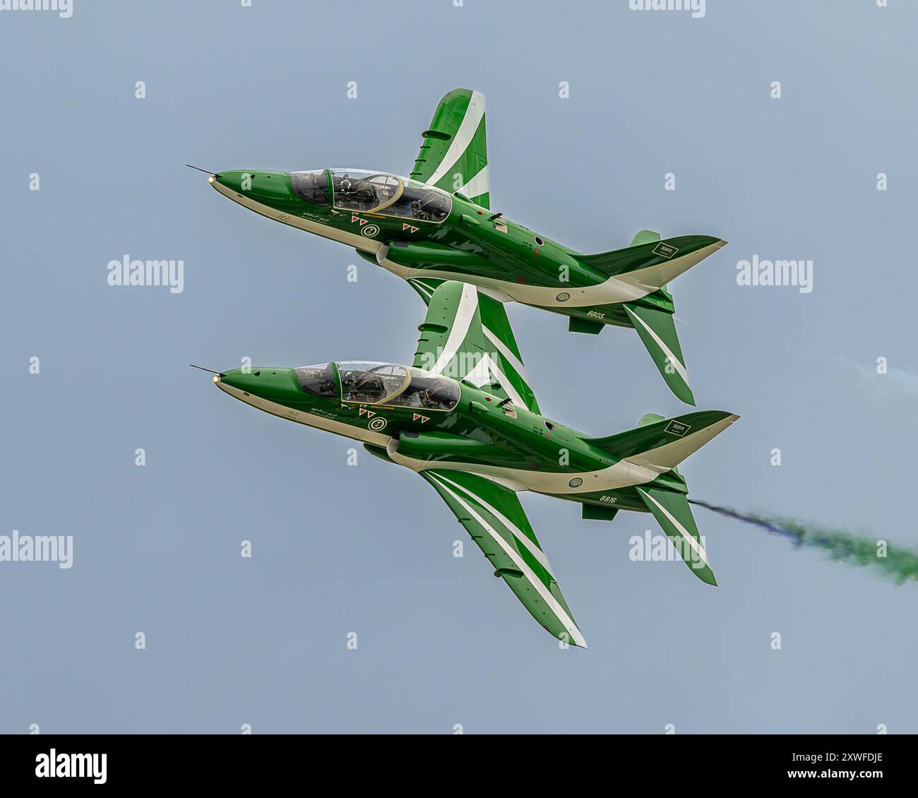 Saudi hawks hi-res stock photography and images - Alamy