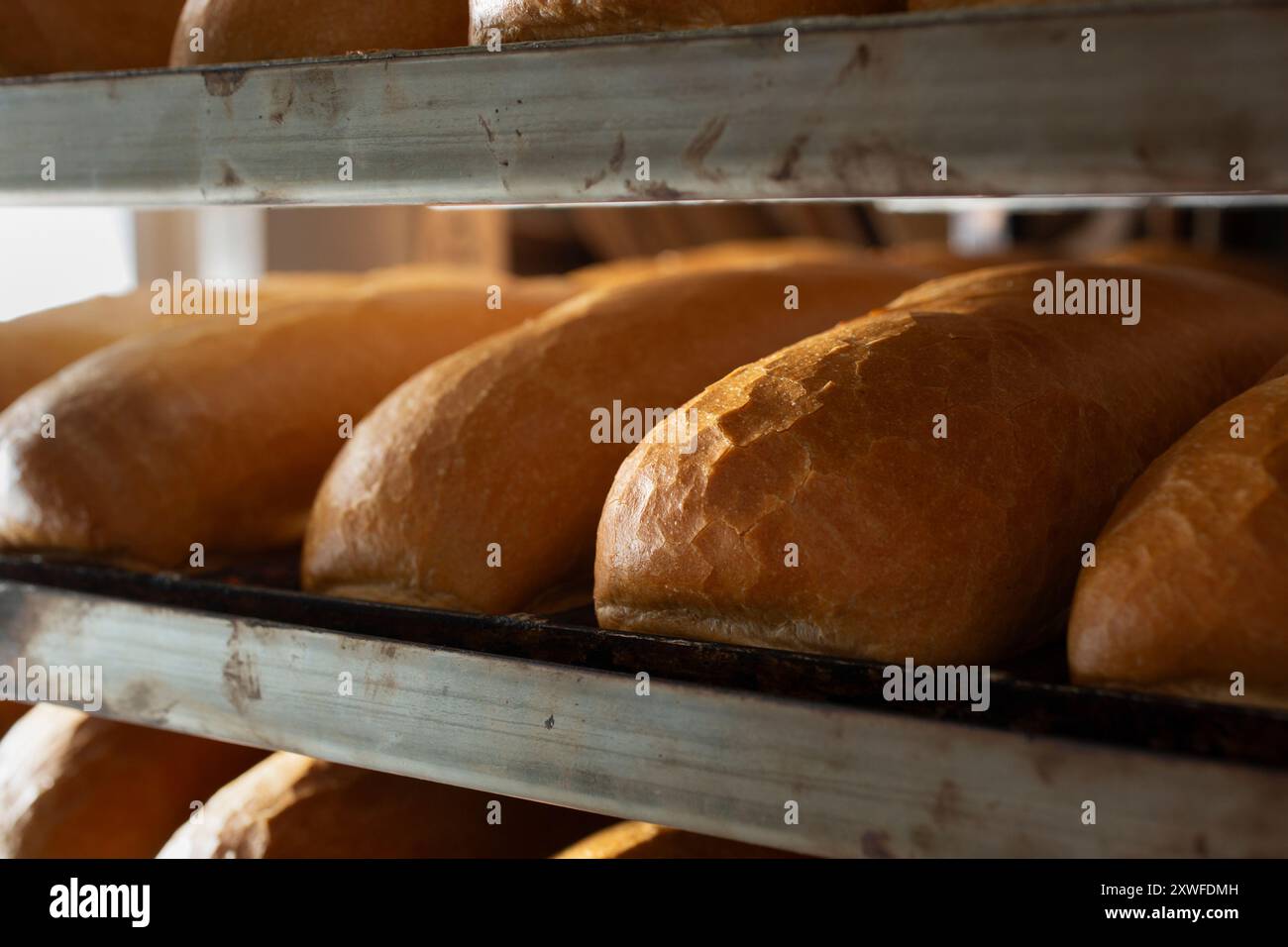 A view of several grinder rolls on a large bread rack Stock Photo - Alamy