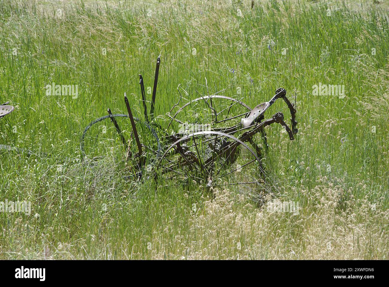 Fixridge hi-res stock photography and images - Alamy