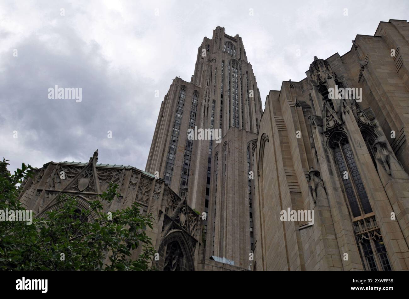 The University of Pittsburgh's Cathedral of Learning towers over the ...
