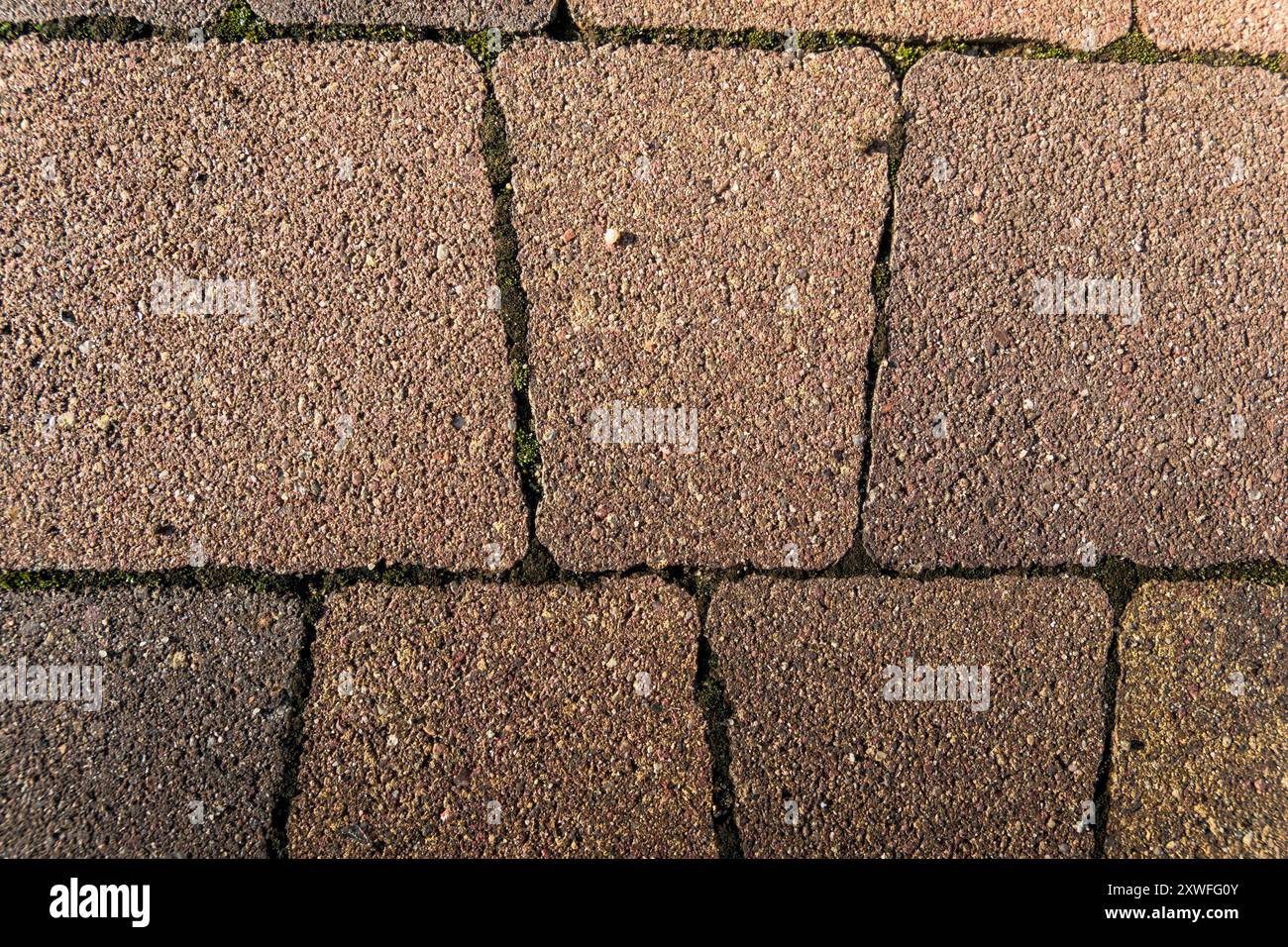 Textured pavement close-up with visible joints and moss Stock Photo - Alamy