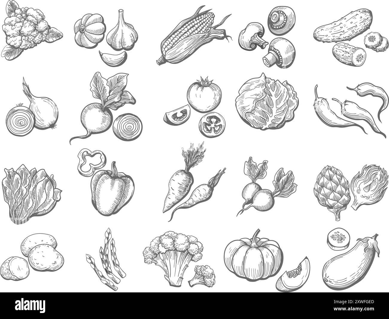 Hand drawn vegetables set Stock Vector Image & Art - Alamy