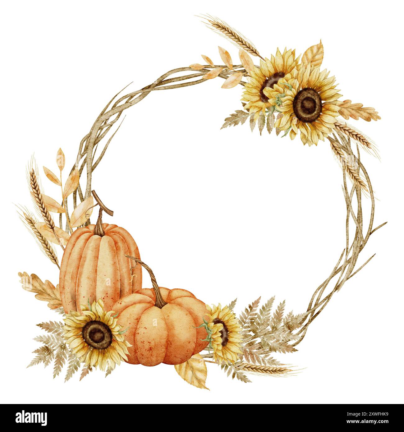 Autumn watercolor wreath with Pumpkins and Sunflowers. Drawing of fall ...