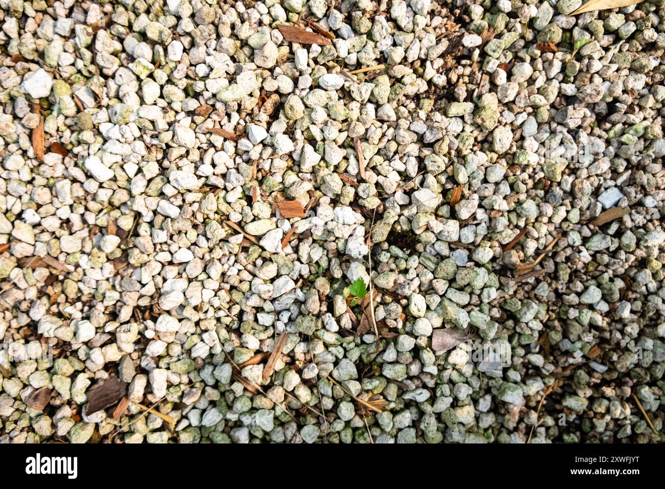 Single gravel stones hi-res stock photography and images - Alamy