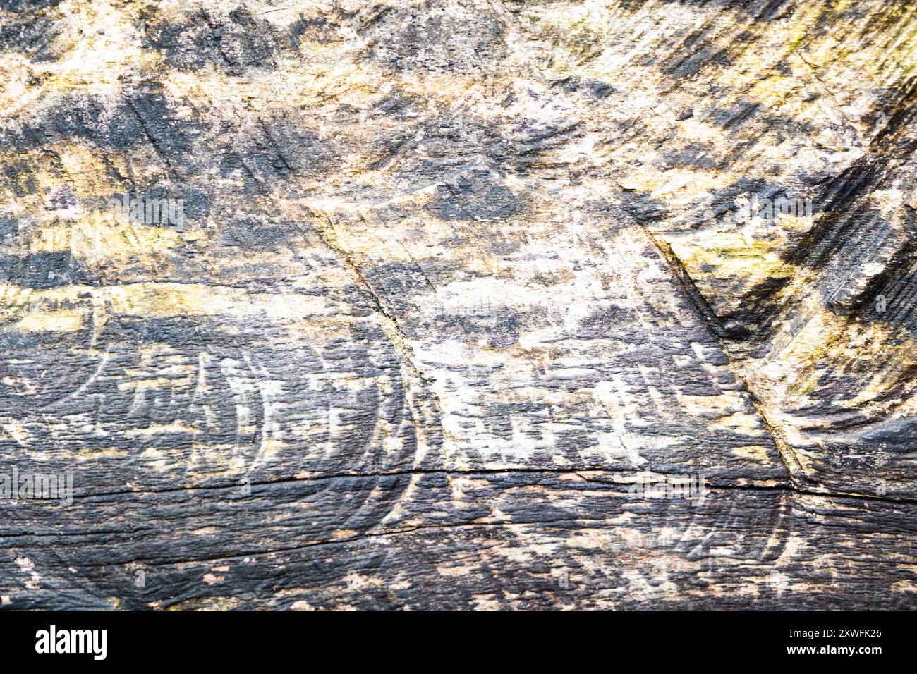 Naturalistic patterns hi-res stock photography and images - Alamy