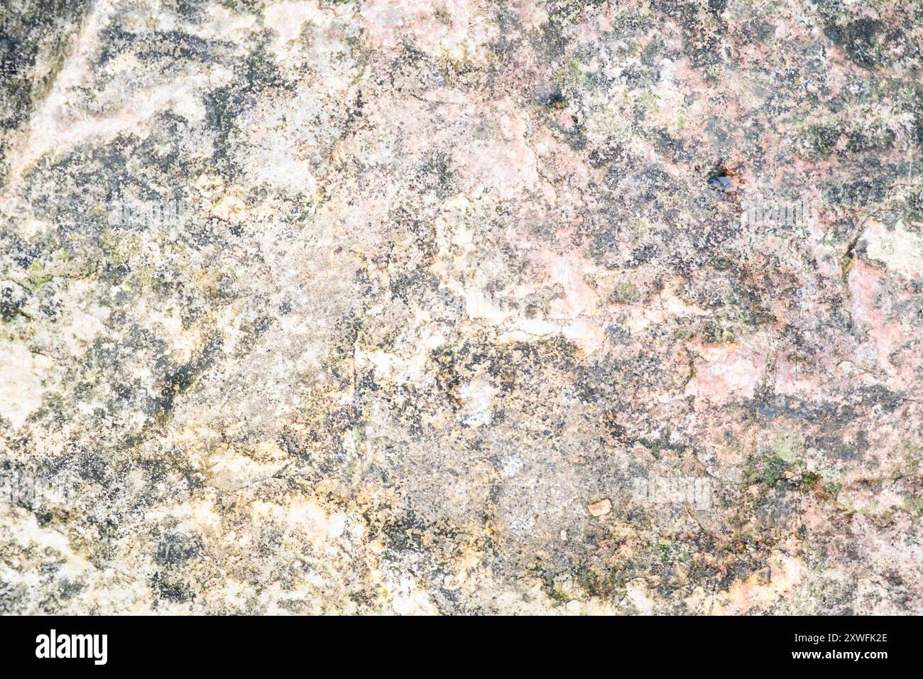 Naturalistic colors hi-res stock photography and images - Alamy