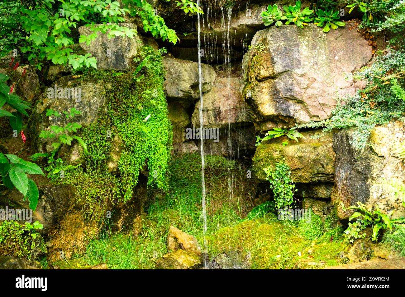 Tranquil Natural Rock Garden Waterfall with Lush Greenery and Moss in ...