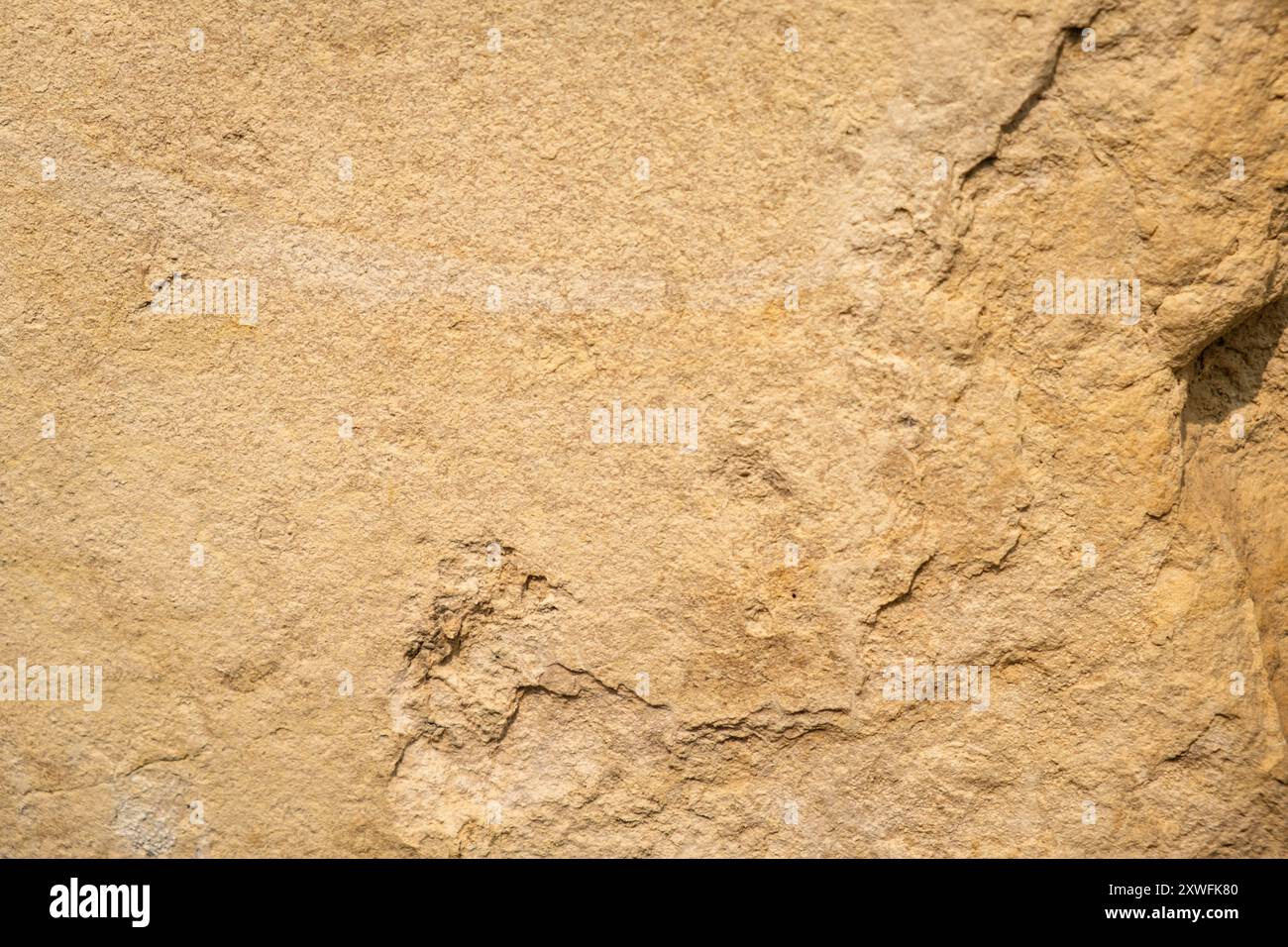 Natural Beige Stone Texture, Rough Rock Surface, High-Resolution, Outdoor Geology Background ...
