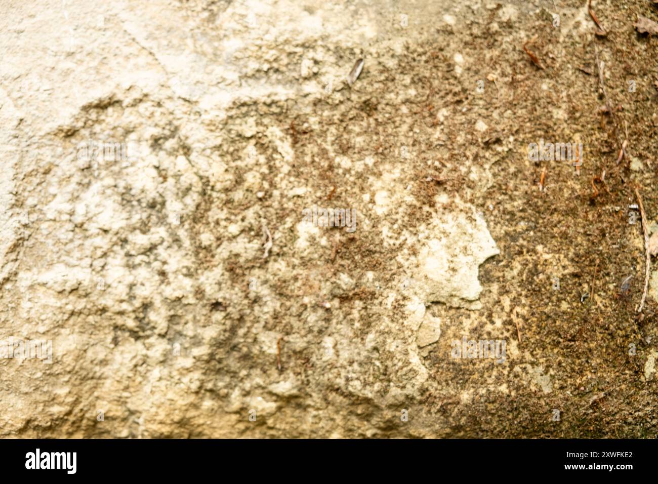 Weathered Stone Texture Background with Natural Rough Surface and ...