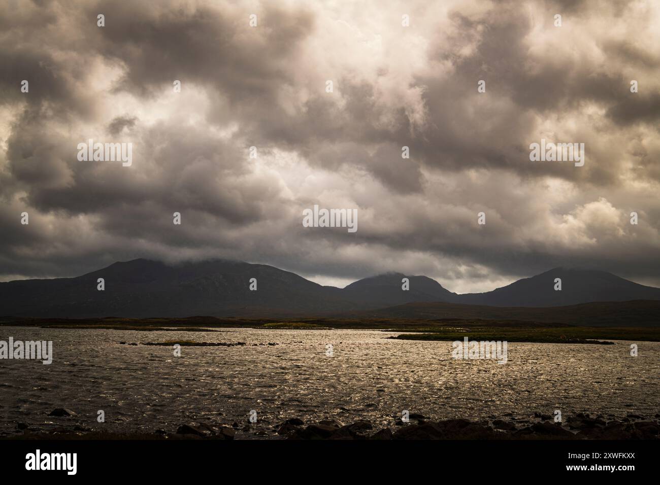 A gloomy, summer, HDR image over the RSPB community nature reserve Loch ...