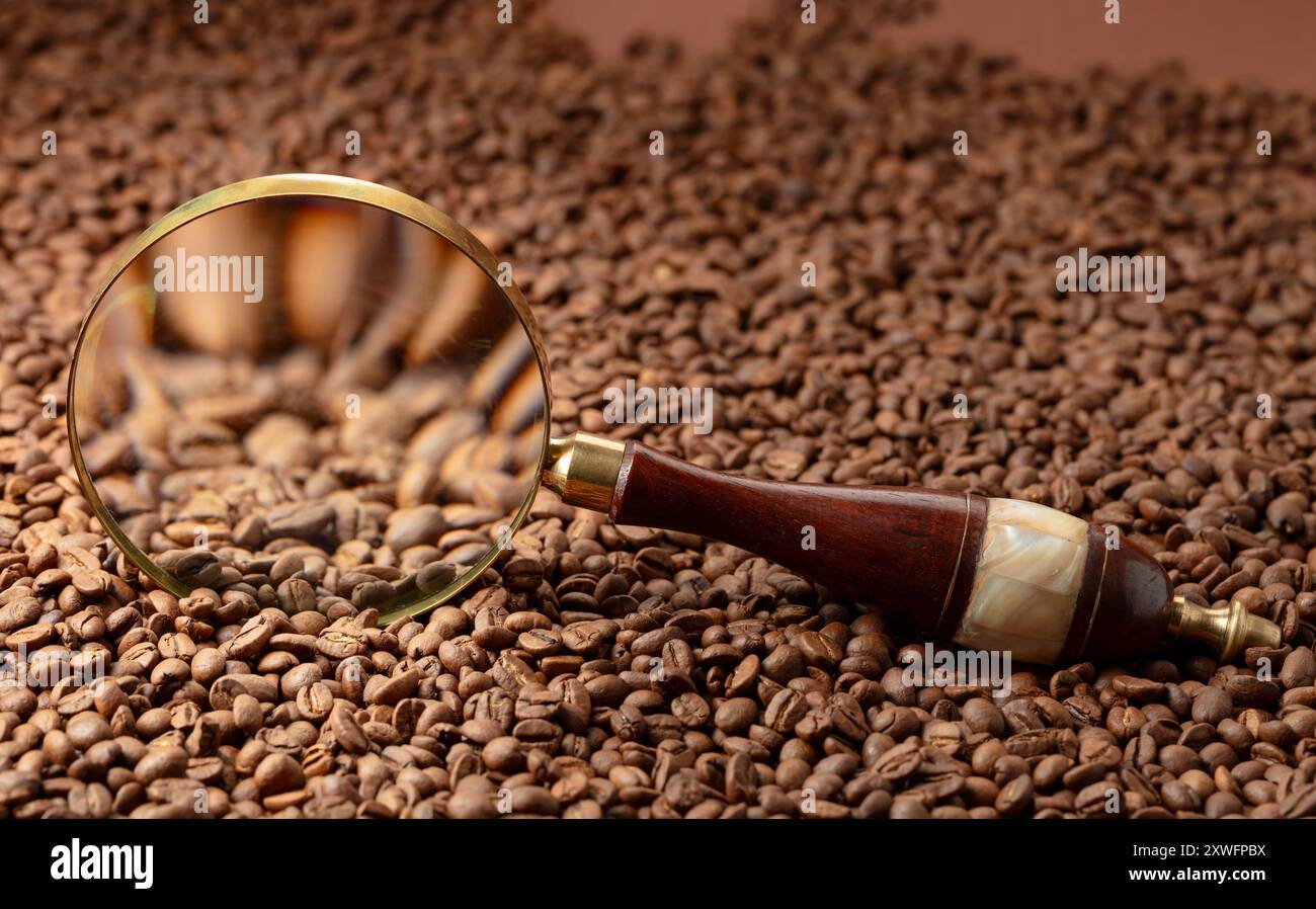 Coffee beans under a magnifying glass. Conceptual image on the theme of ...