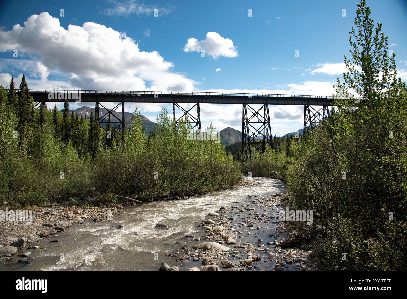 Train trestle in denali hi-res stock photography and images - Alamy