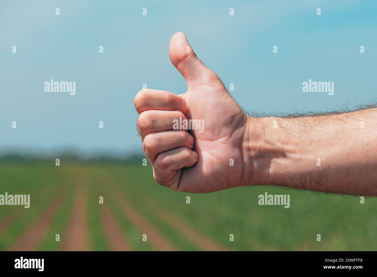 Approve sign hi-res stock photography and images - Alamy
