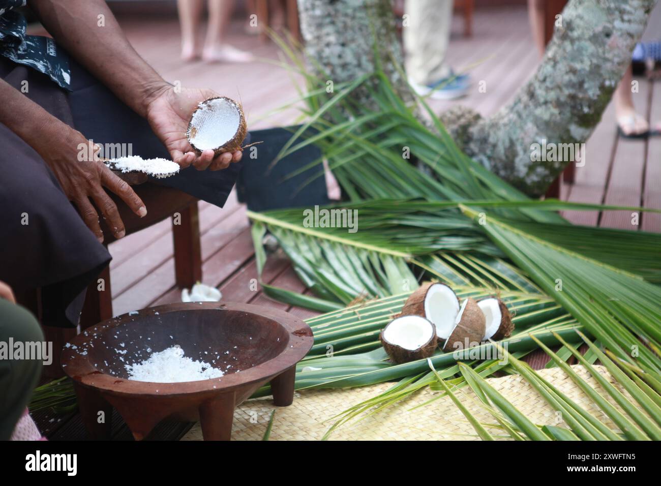 Scraping fresh coconut, traditional food demonstration, Fiji Stock ...
