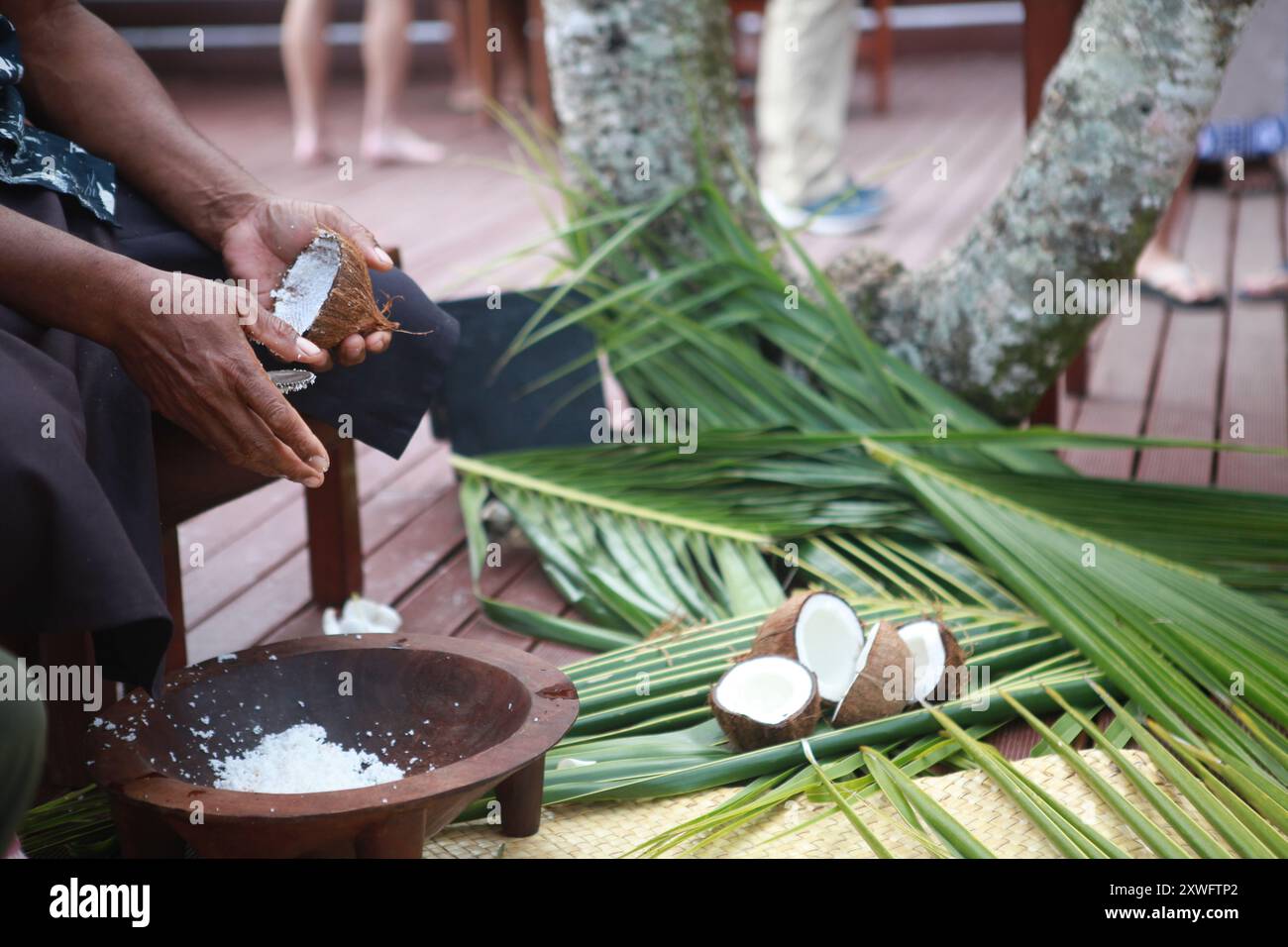Scraping fresh coconut, traditional food demonstration, Fiji Stock ...