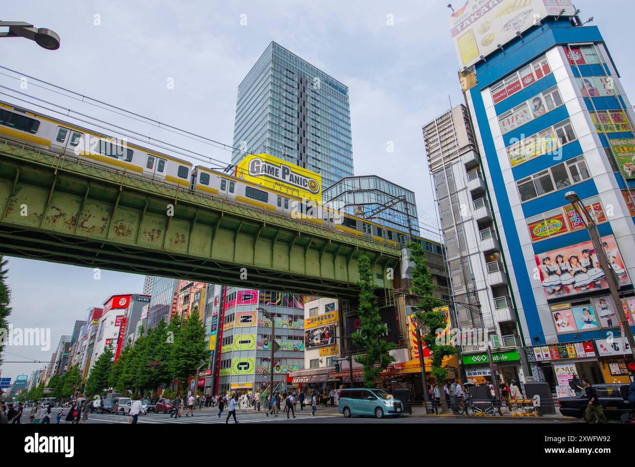 JR East Chuo-Sobu Line train on bridge across Chuo-dori Avenue in ...