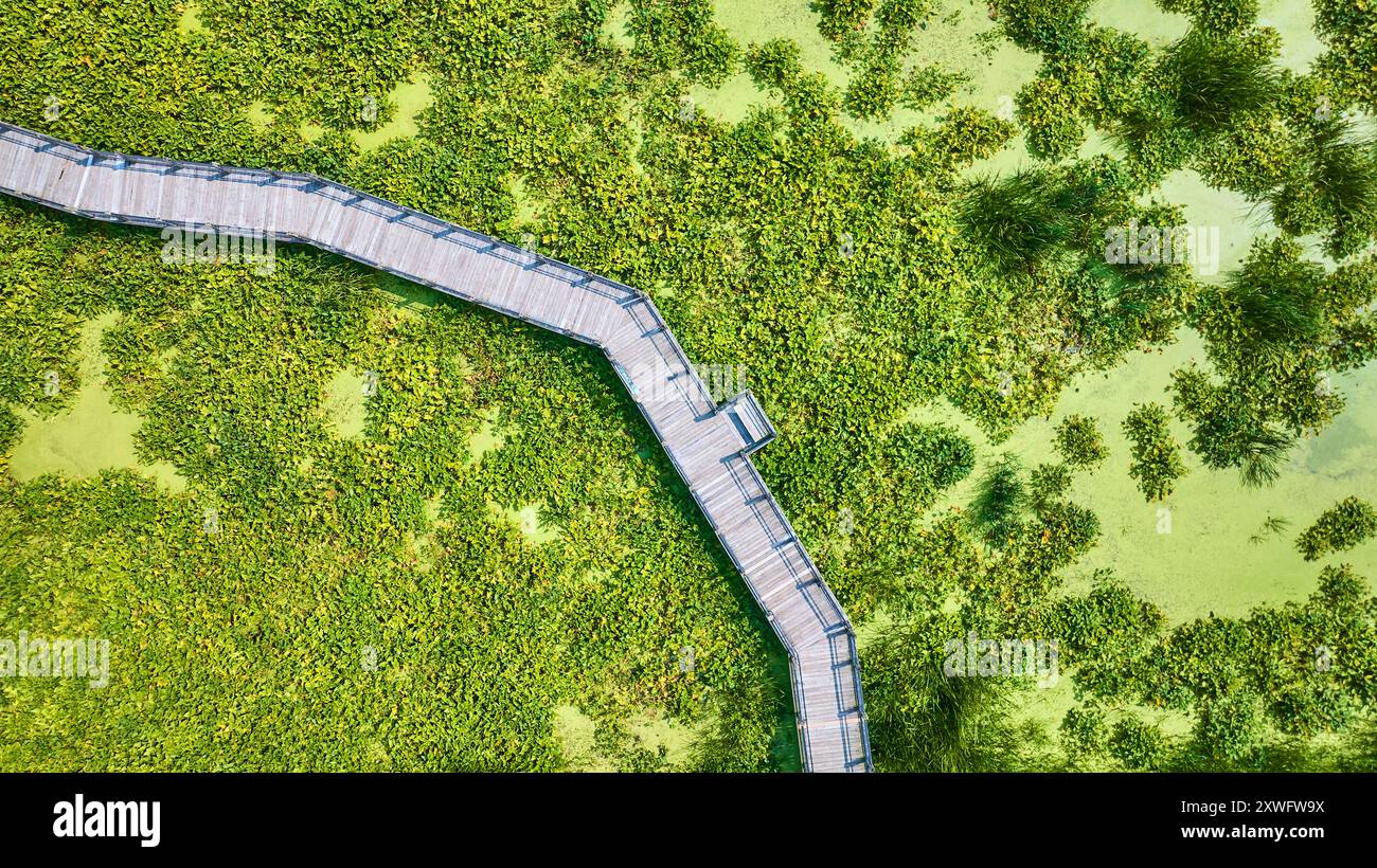 Aerial Top Down View of Boardwalk Through Lush Green Wetland Stock ...