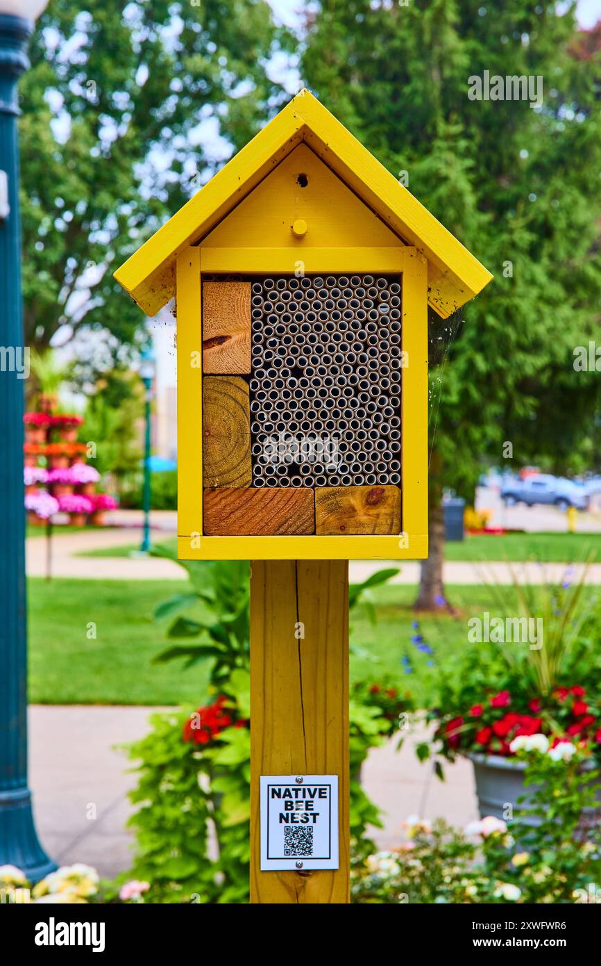 Yellow Native Bee Nest Box in Blooming Urban Park Eye-Level View Stock ...