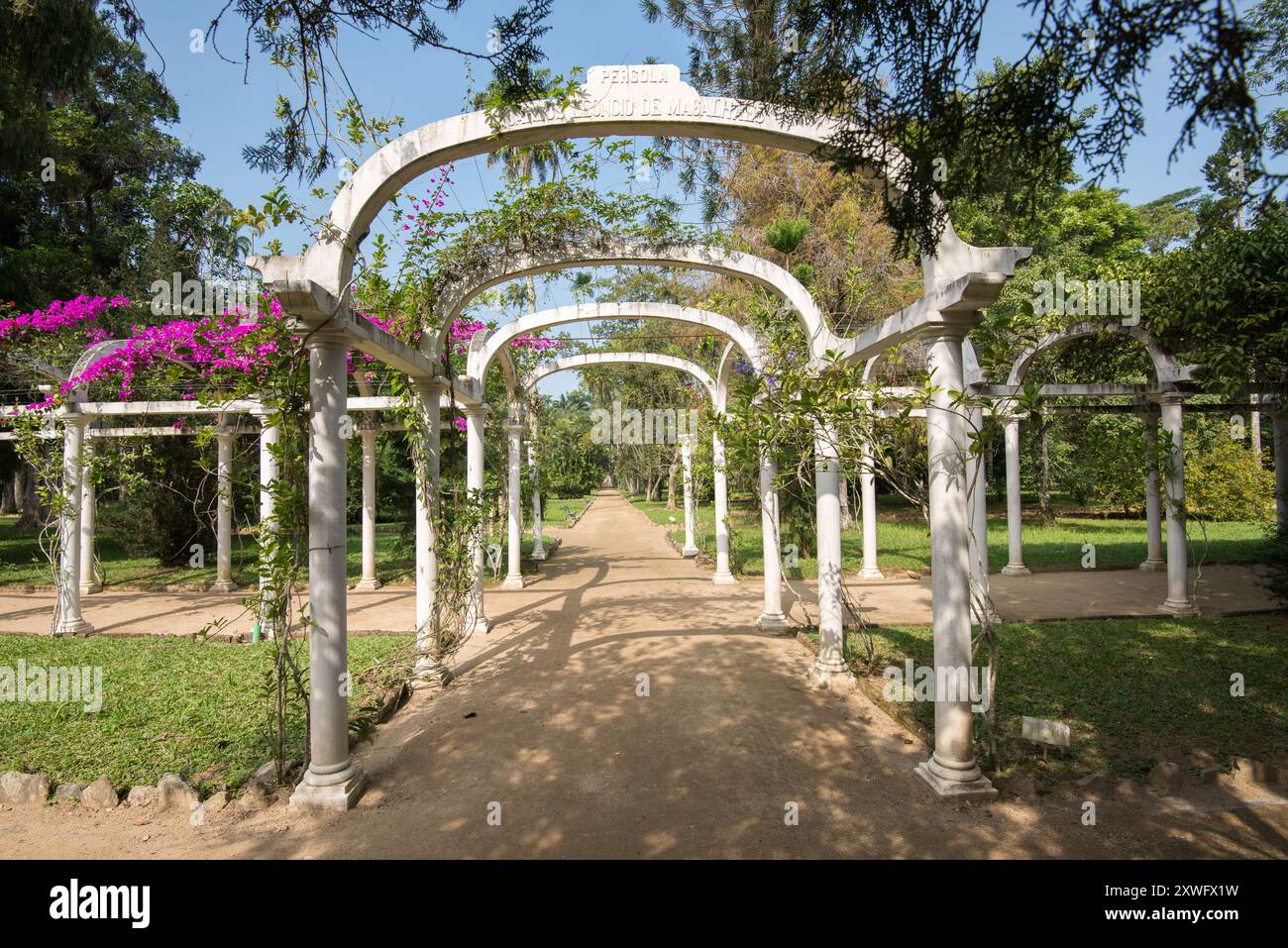 Botanical Garden of Rio de Janeiro, Brazil Stock Photo - Alamy