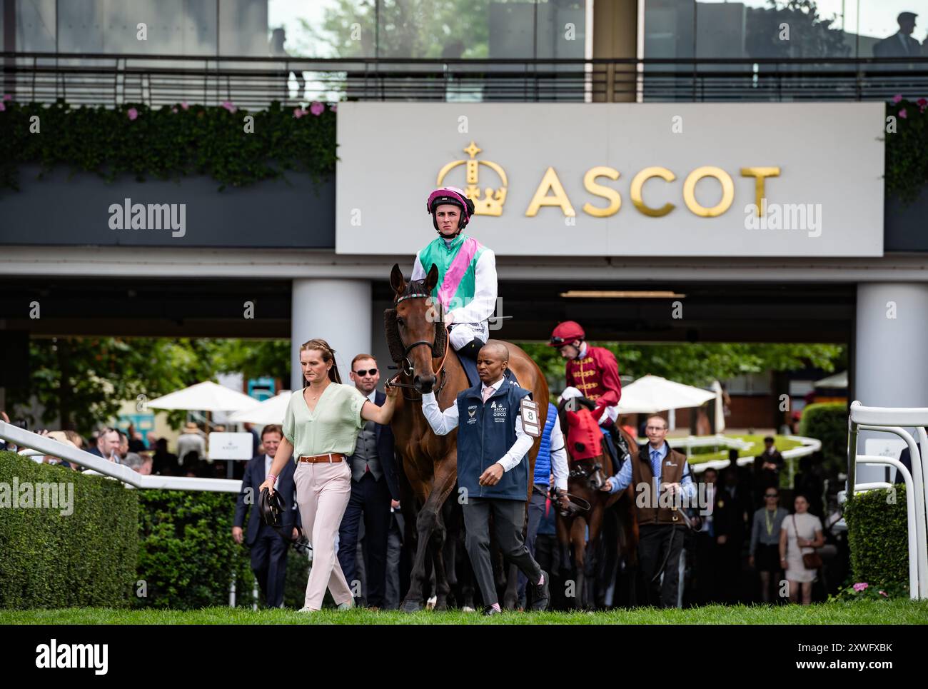 Bluestocking and Rossa Ryan head to the start for the 2024 King George ...