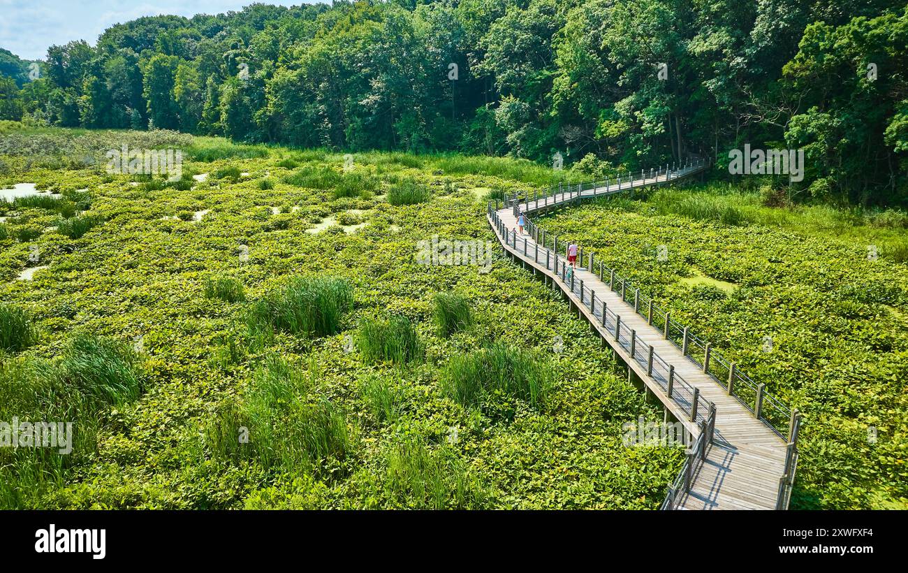 Aerial View of Boardwalk Through Lush Wetland in Daytime Stock Photo ...