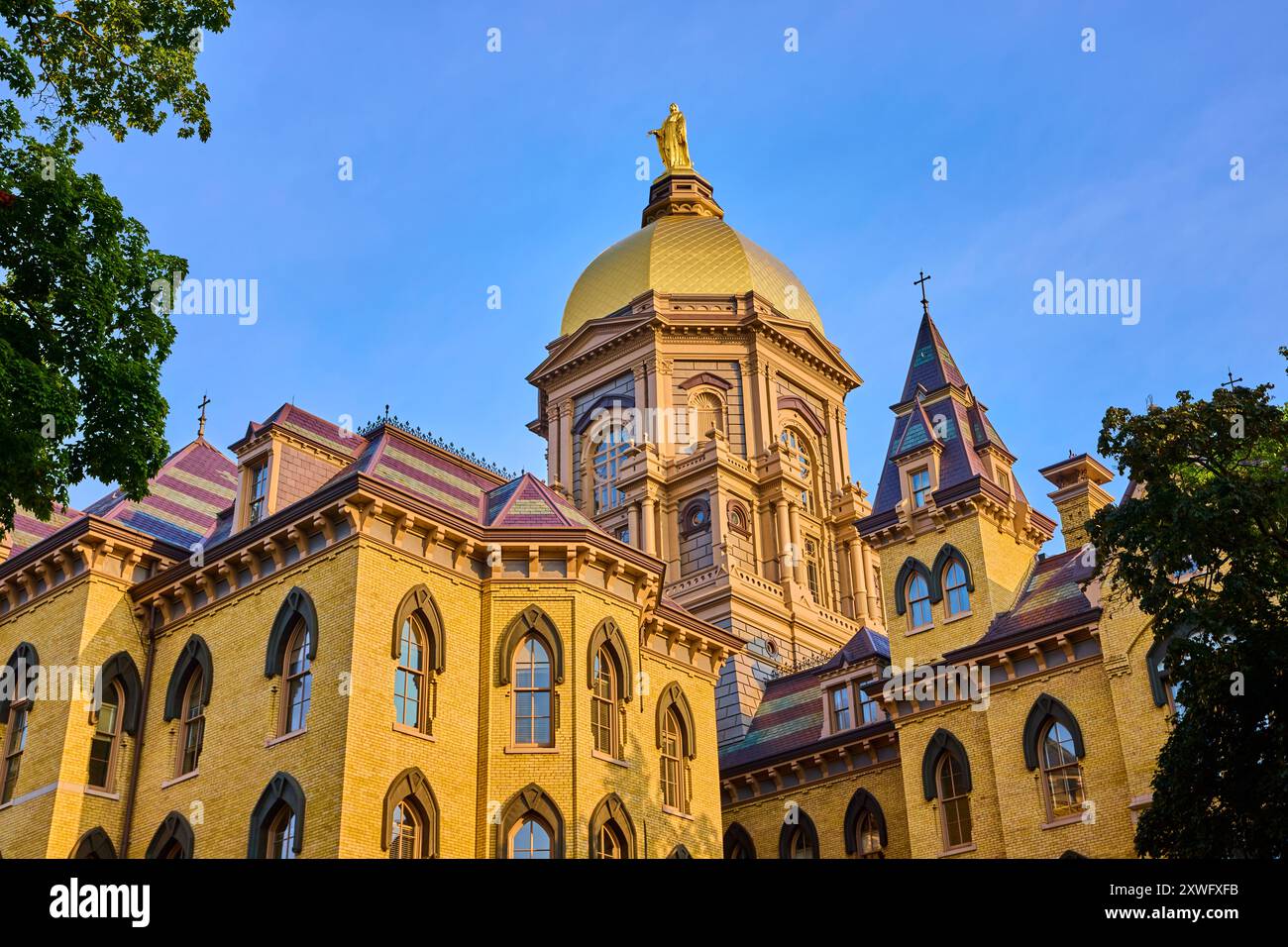 Golden Dome of Notre Dame Main Building at Eye-Level Stock Photo - Alamy