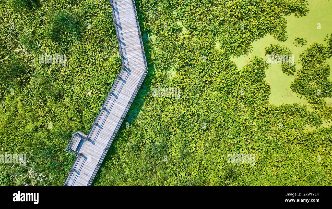 Aerial view tranquil wetlands park hi-res stock photography and images ...