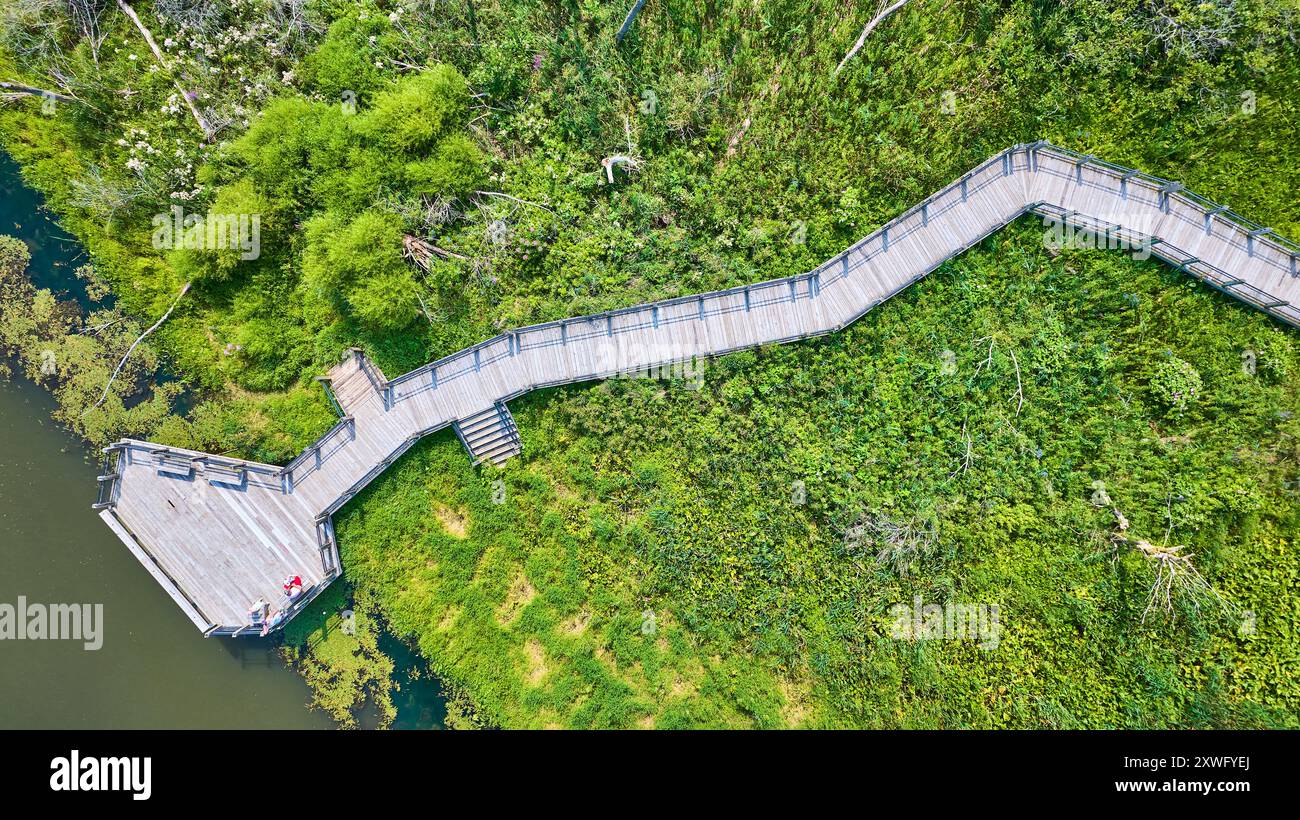 Aerial Top Down View of Zigzagging Boardwalk in Lush Wetland Stock ...