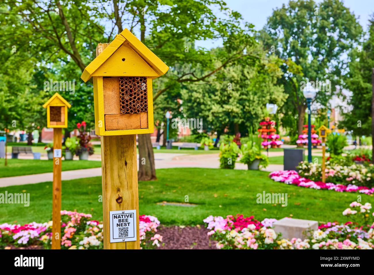 Native Bee Nests in Vibrant Park Landscape Eye-Level View Stock Photo ...
