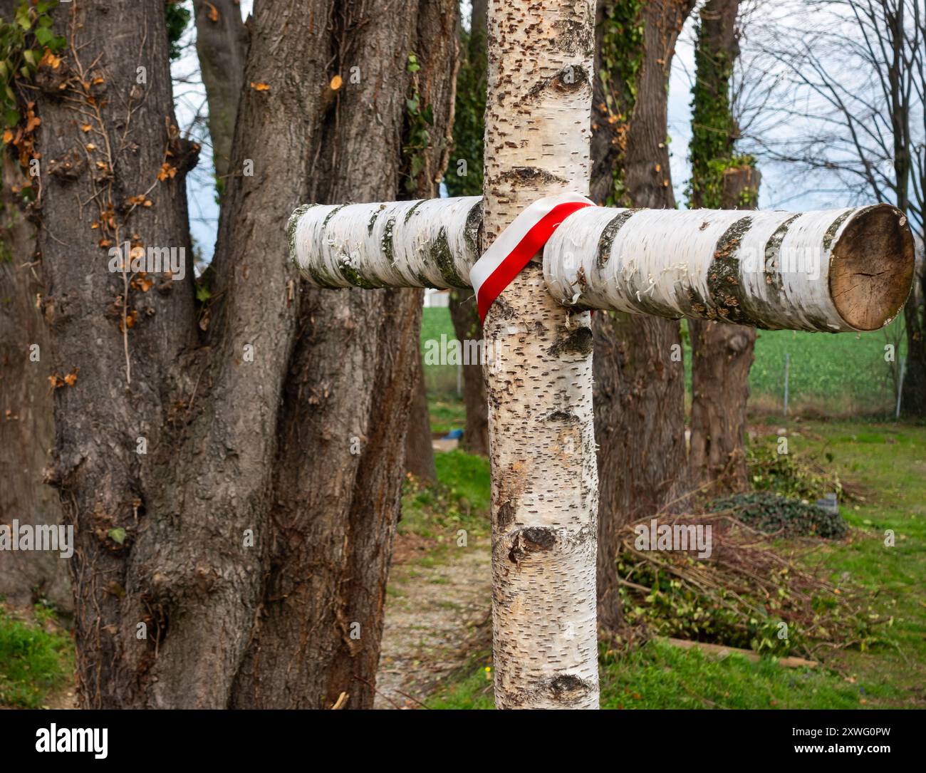 A birch cemetery cross with an emblem in Polish national colors. A ...