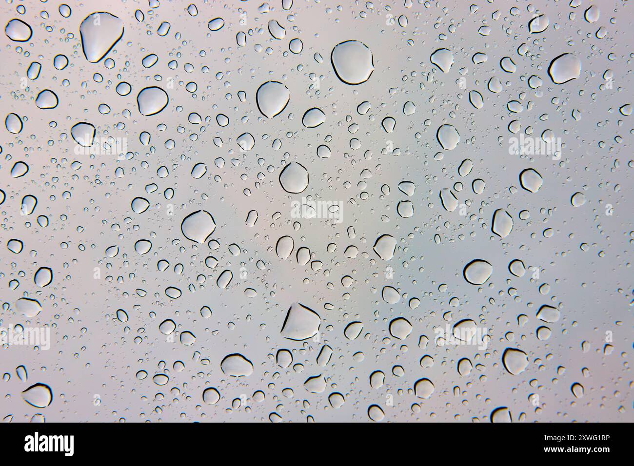 Water Droplets on Glass Close-Up Perspective Stock Photo - Alamy