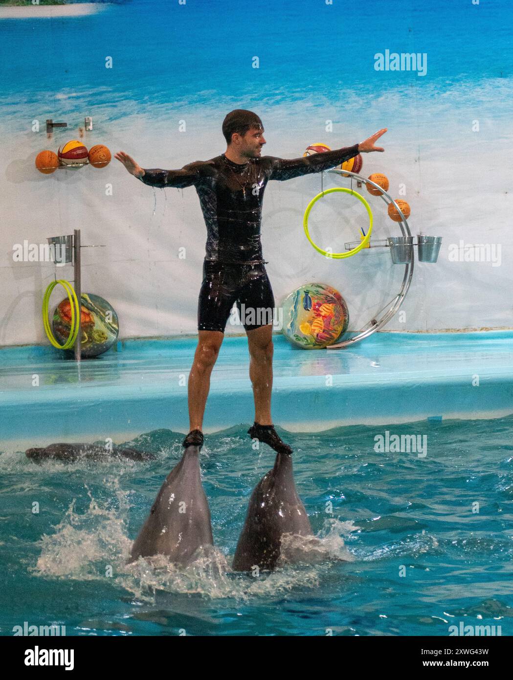 Dolphine dance hi-res stock photography and images - Alamy