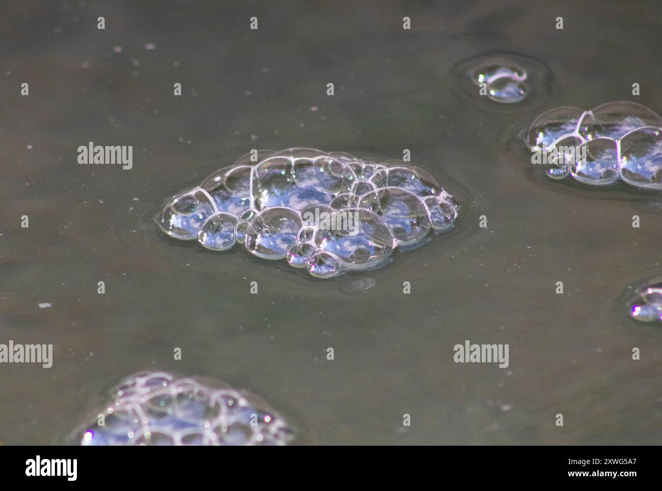ripples and bubbles on surface of water Stock Photo - Alamy
