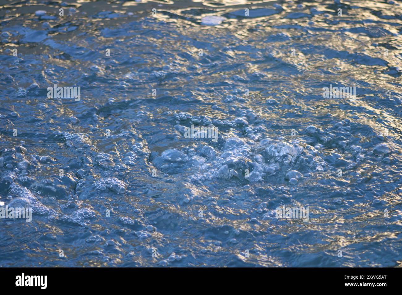 Water ripples on clear pond hi-res stock photography and images - Alamy