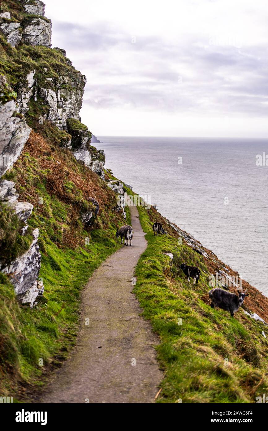 Lynmouth beach summer hi-res stock photography and images - Alamy