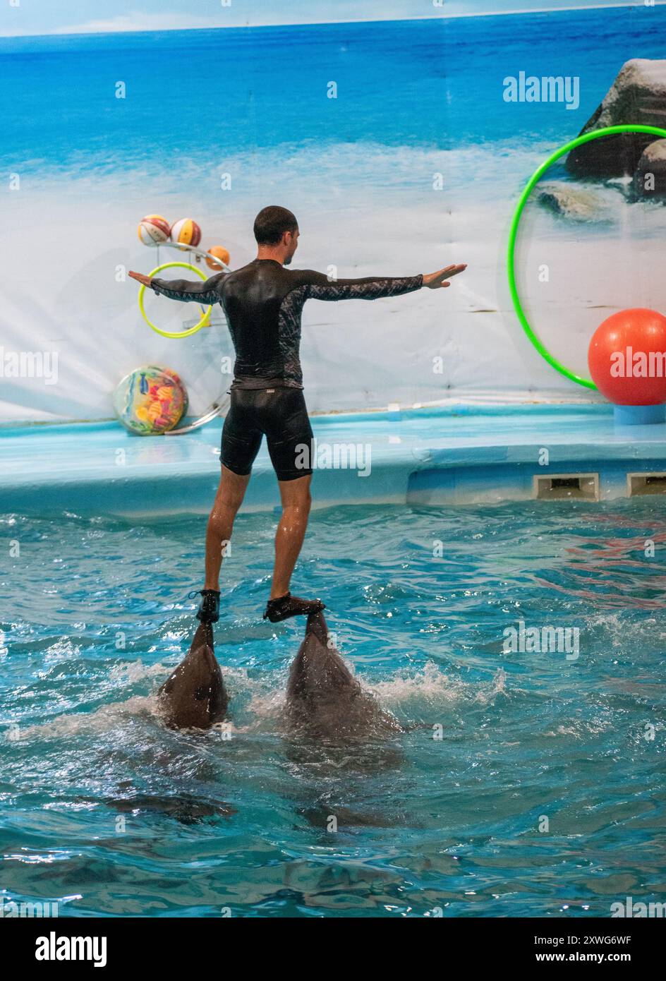 Dolphine dance hi-res stock photography and images - Alamy