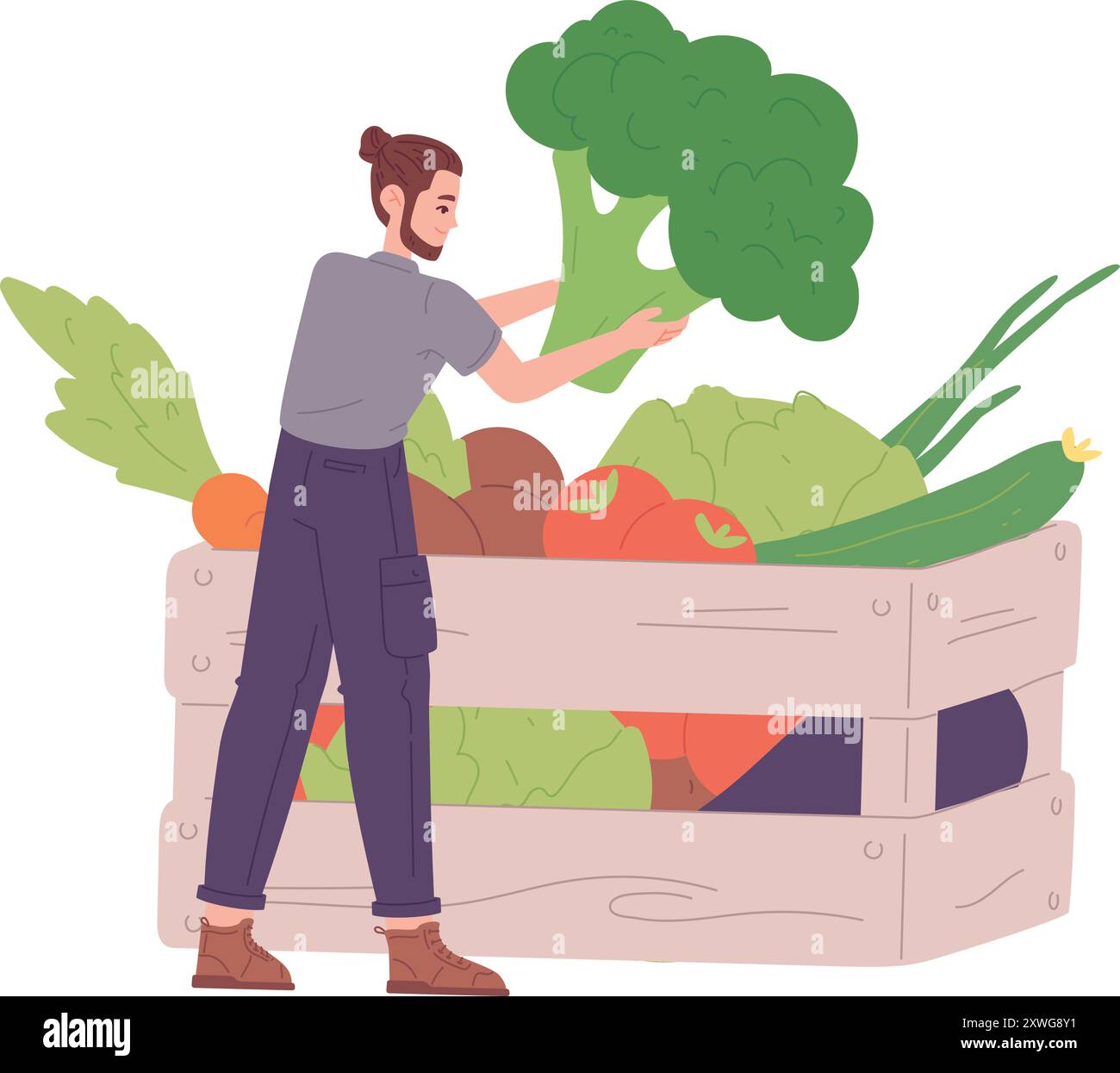 Young man choose vegetables from wooden box. Local farm food. Vector ...