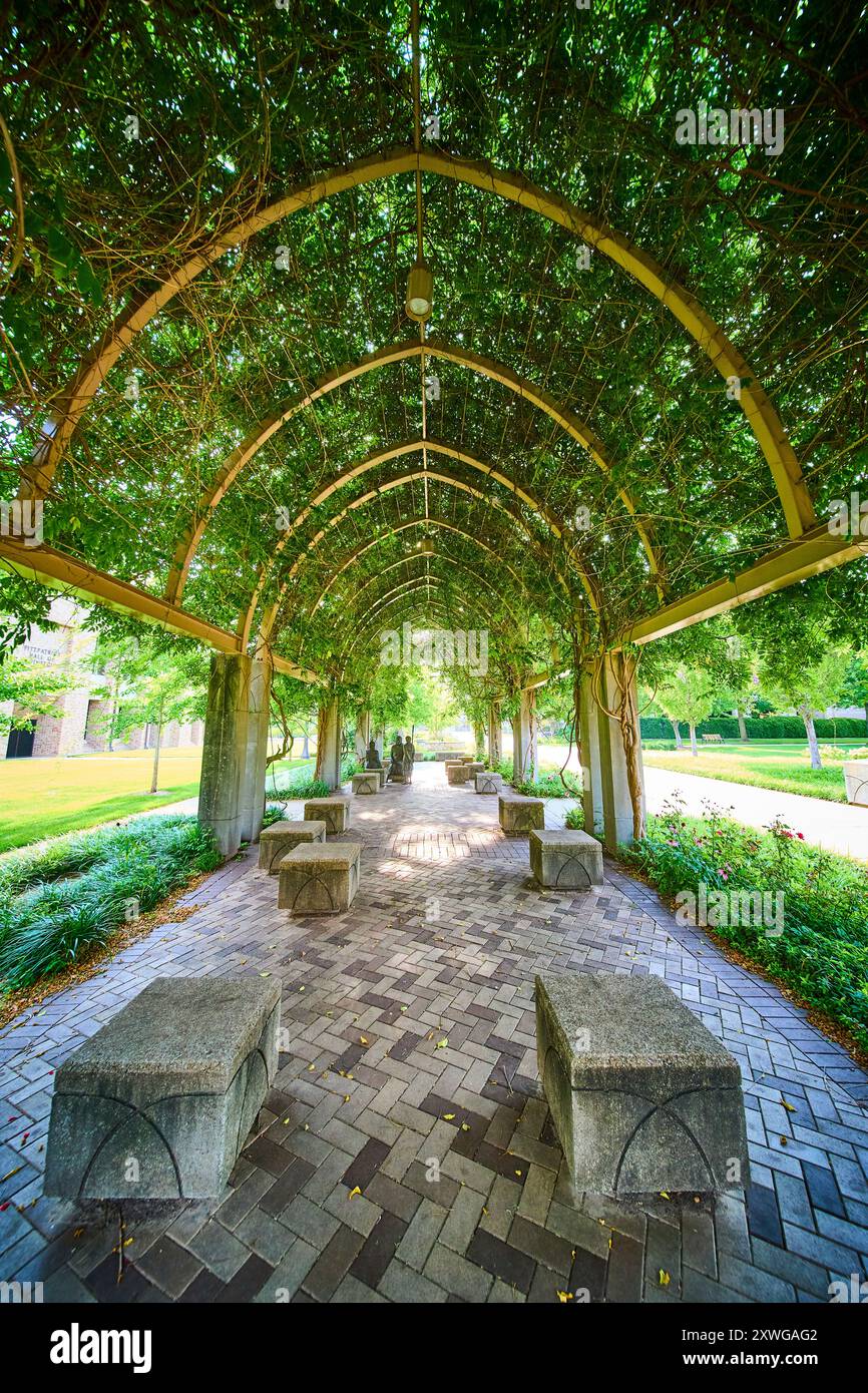 Leafy Arbor Walkway with Stone Benches and Trellis Canopy Low ...