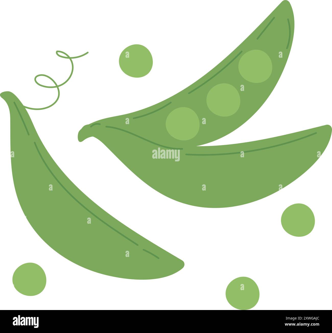 Green peas pod color icon. Natural food isolated on white background ...