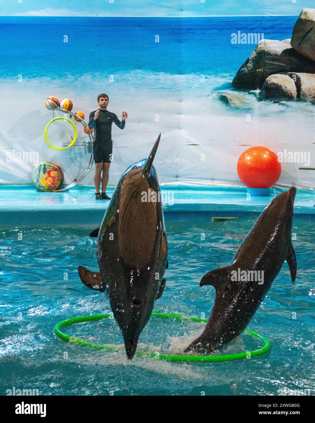 Phuket dolphin hi-res stock photography and images - Alamy