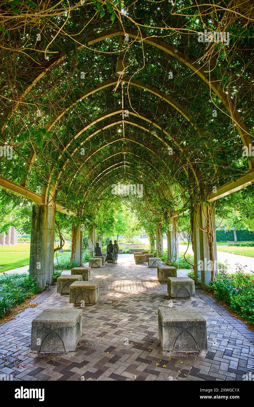 Canopy level hi-res stock photography and images - Alamy
