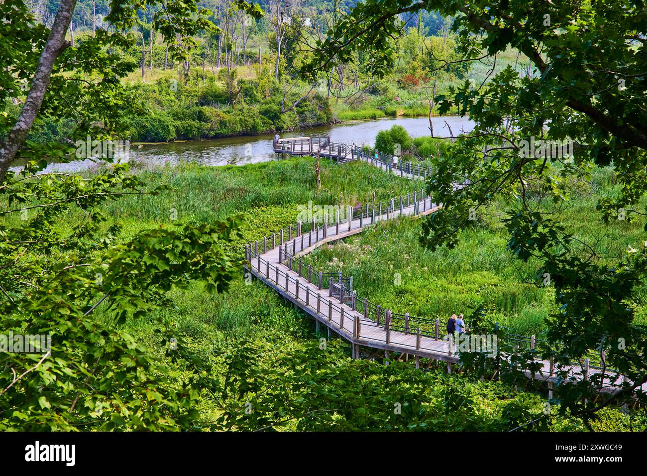 Aerial View of Wooden Boardwalk in Lush Greenery Galien River Park ...