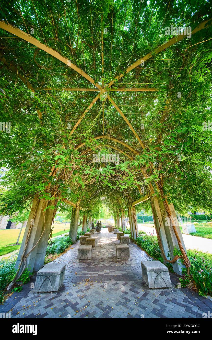 Serene Shaded Walkway with Stone Benches in Green Canopy from Eye-Level ...